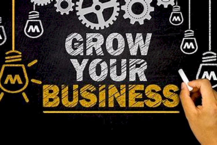 From Startup to Scale-up A Comprehensive Guide for Entrepreneurs ...